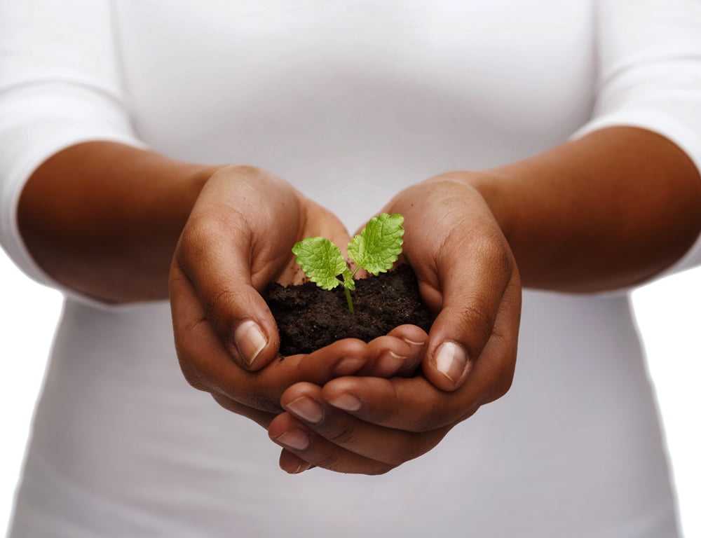 Growing Humanity in the Garden – Fort Collins Nursery