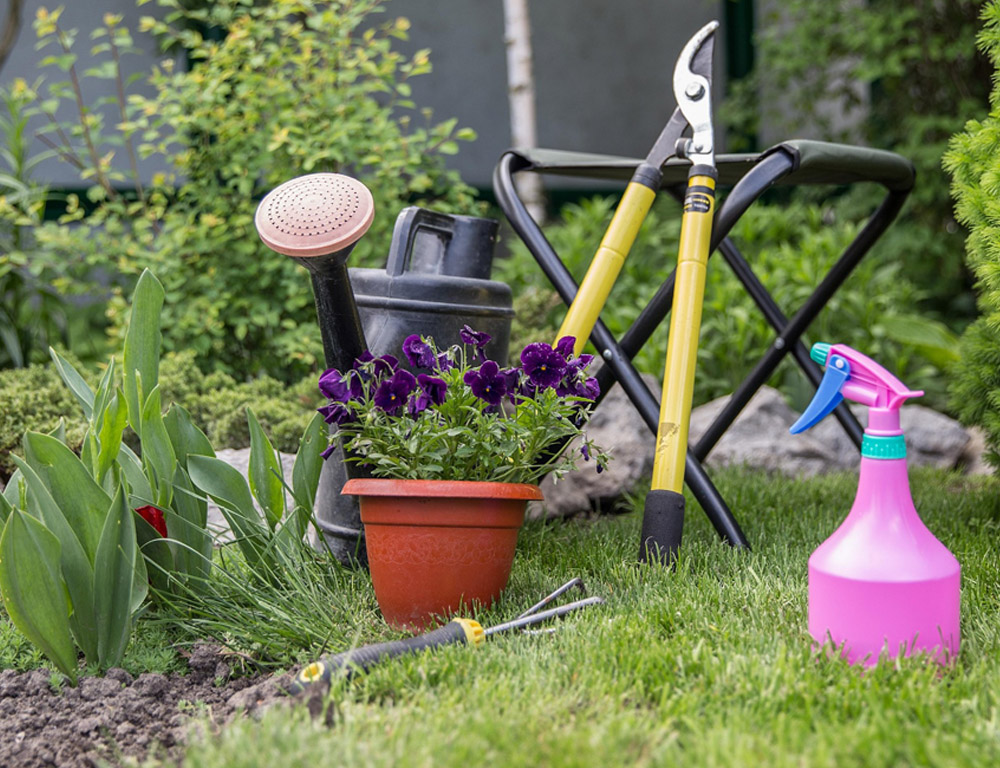 Spring Gardening Cleanup: Essential To-Dos for a Thriving Garden – Fort ...